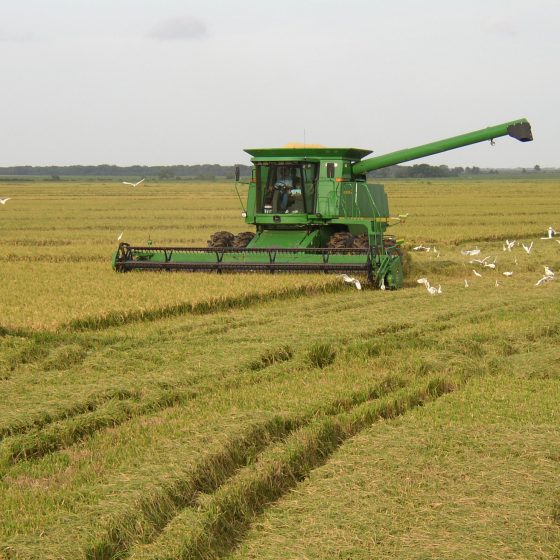 Coastal Bend & Coastal Plains GCDs | The Texas Alliance of Groundwater ...